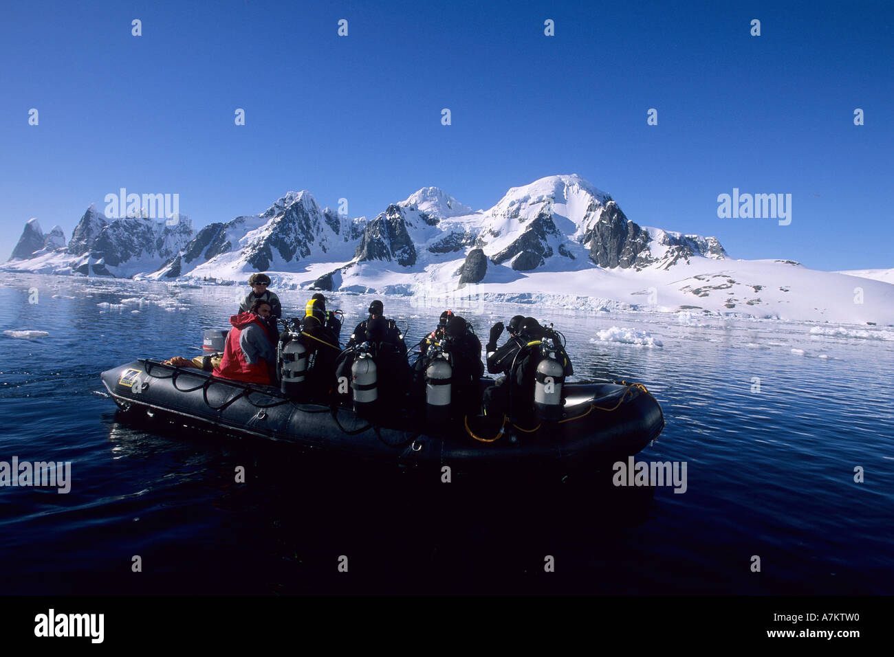 Scuba diver getting ready for diving Antarctica Antarctic Peninsula ...