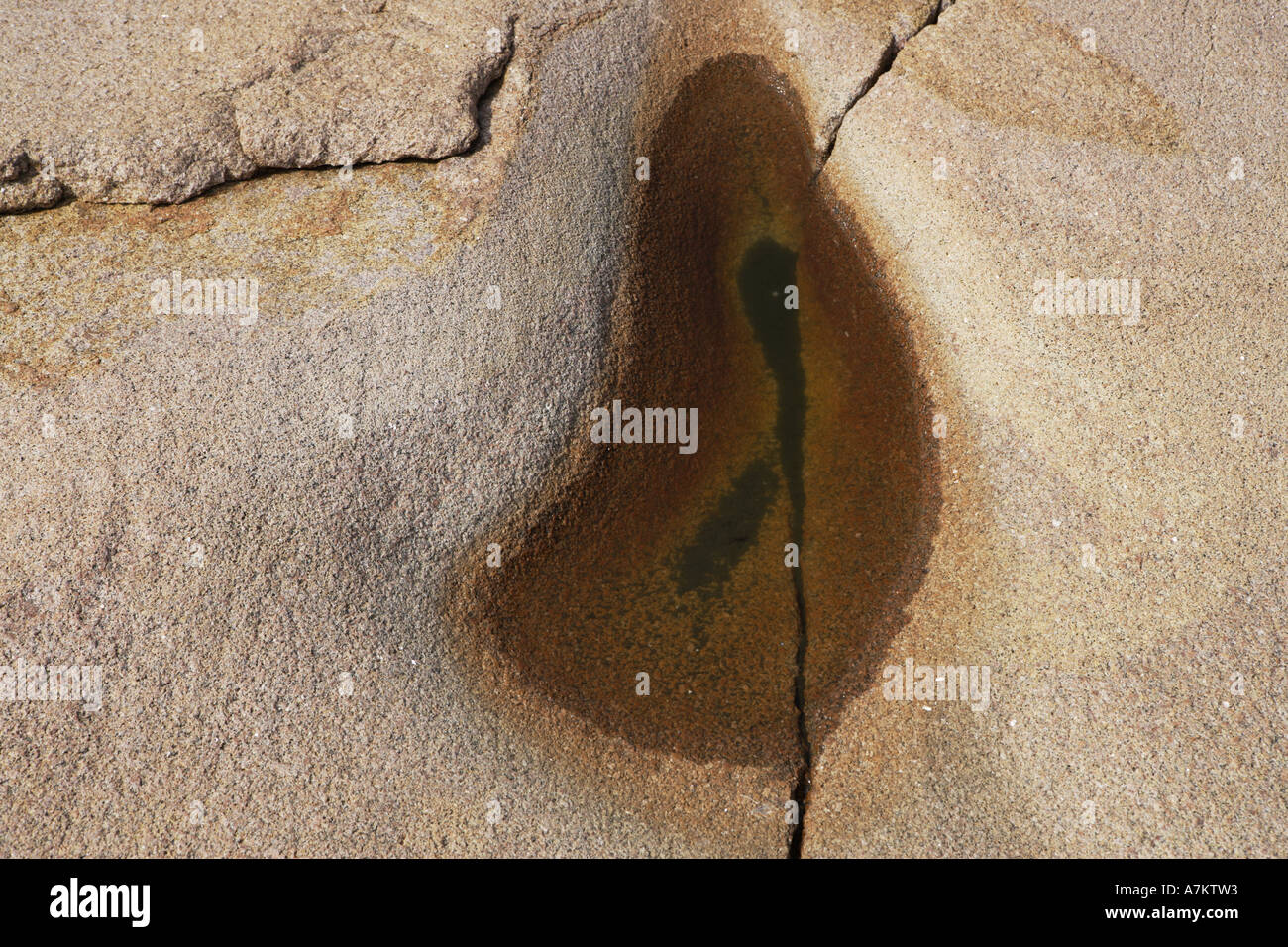 Pool of water on flat rock Stock Photo - Alamy