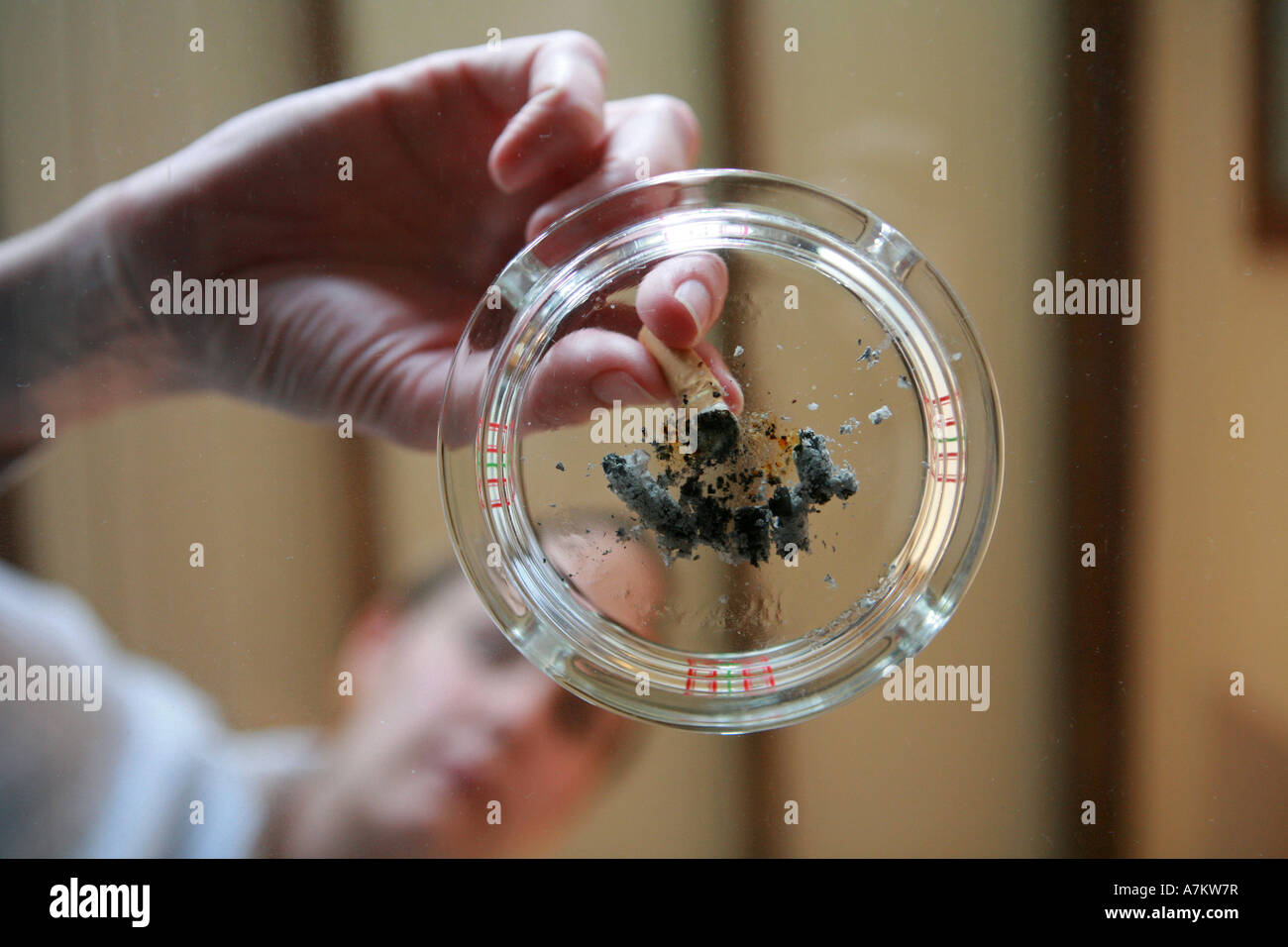 A female smoker about to stub out extinguish her finished smoked ...