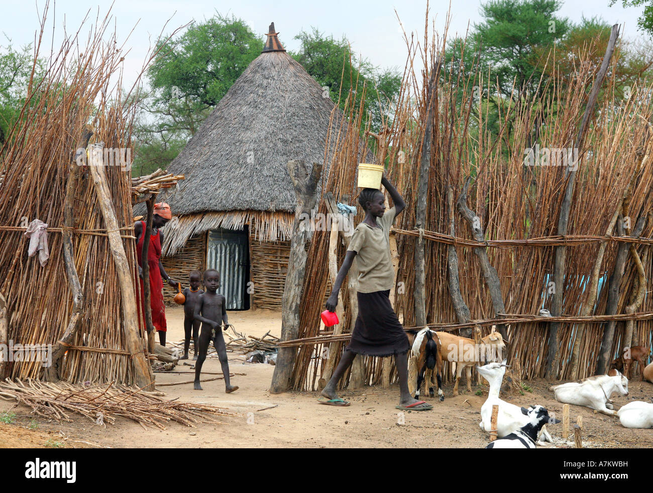 Nuer tribe hi-res stock photography and images - Alamy