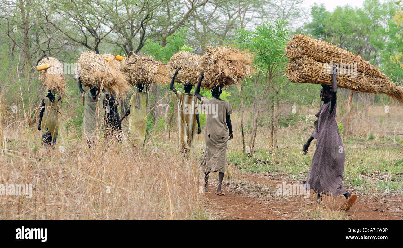 Ethiopia women nuer tribe carry hi-res stock photography and images - Alamy