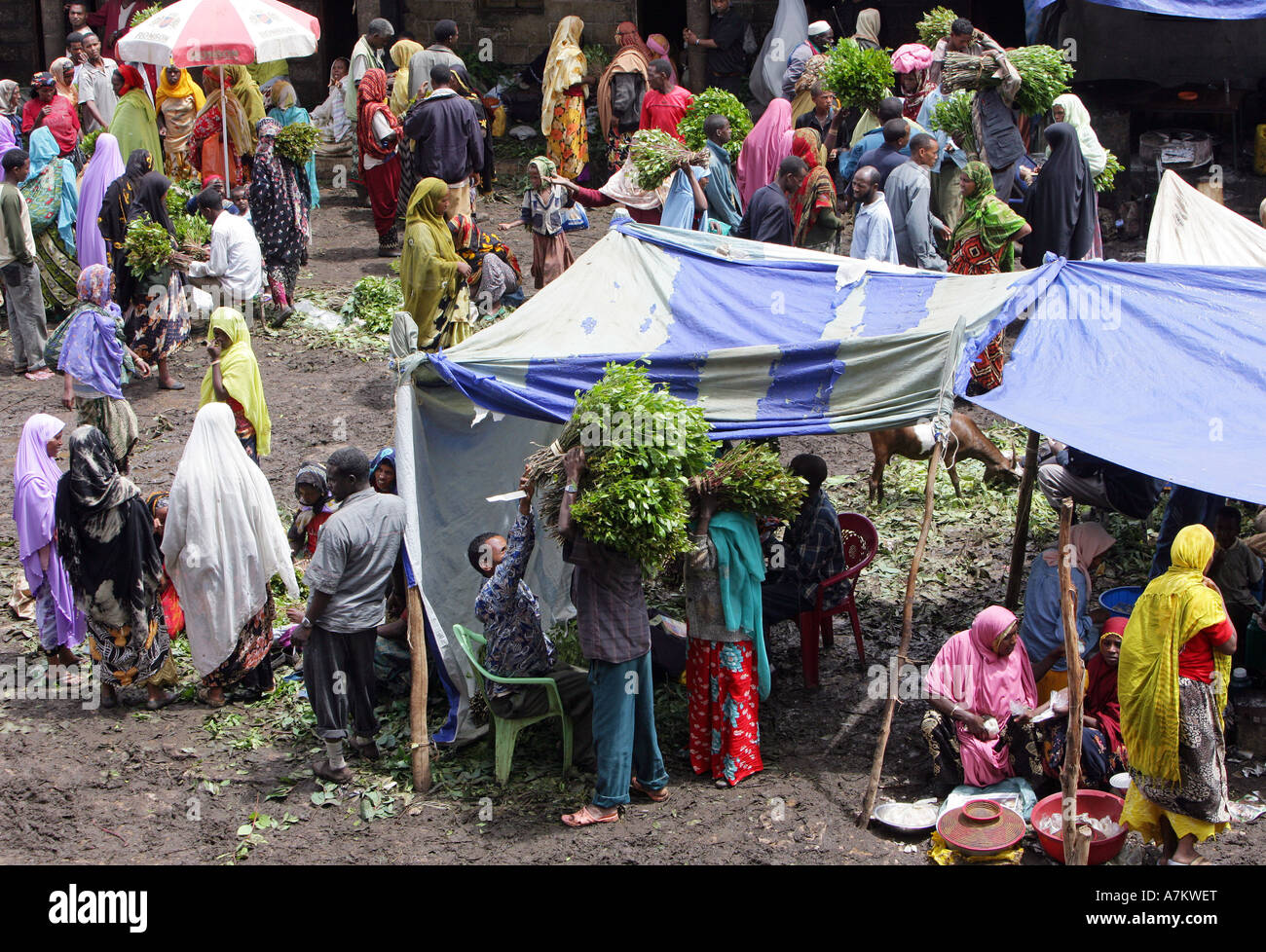 Ethiopia - Chat market in Aweday near Harar Stock Photo - Alamy