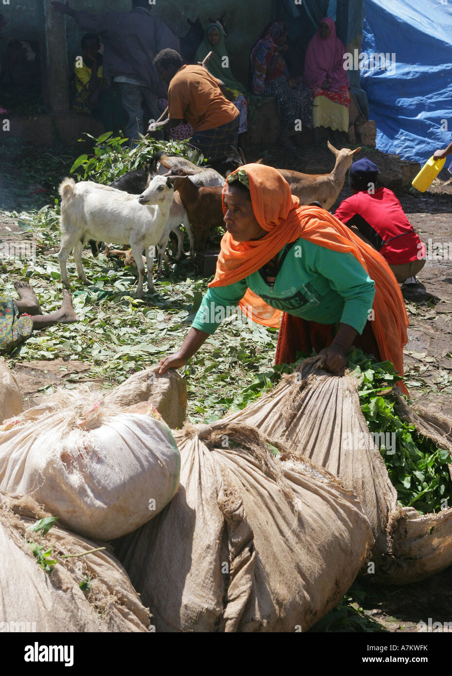 Ethiopian women buying selling market hi-res stock photography and images - Alamy
