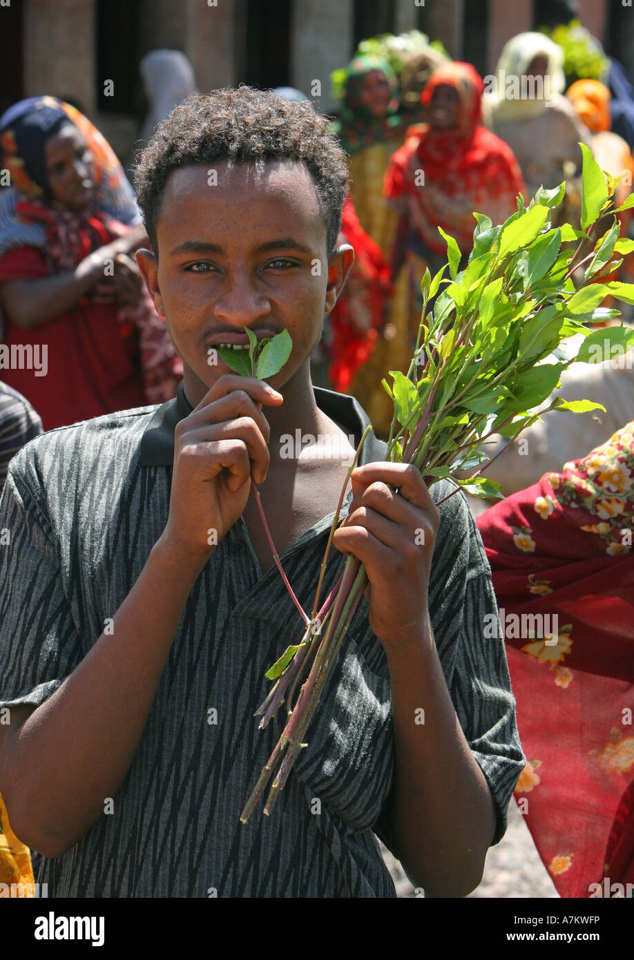 Ethiopia - Trader selling Chat at the Chat market in Aweday near Harar ...
