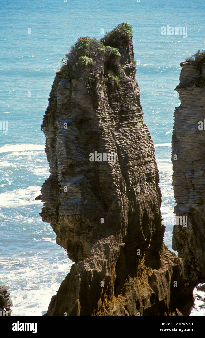 Pancake Rocks New Zealand Punakaiki Layers of Ocean sculpted Limestone ...