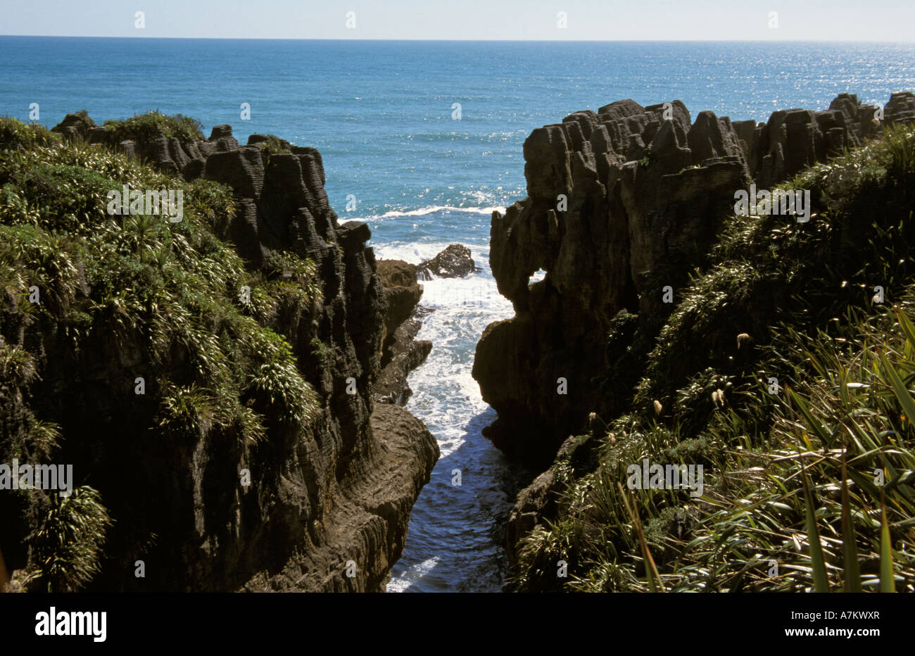 Pancake Rocks New Zealand Punakaiki Layers of Ocean sculpted Limestone ...