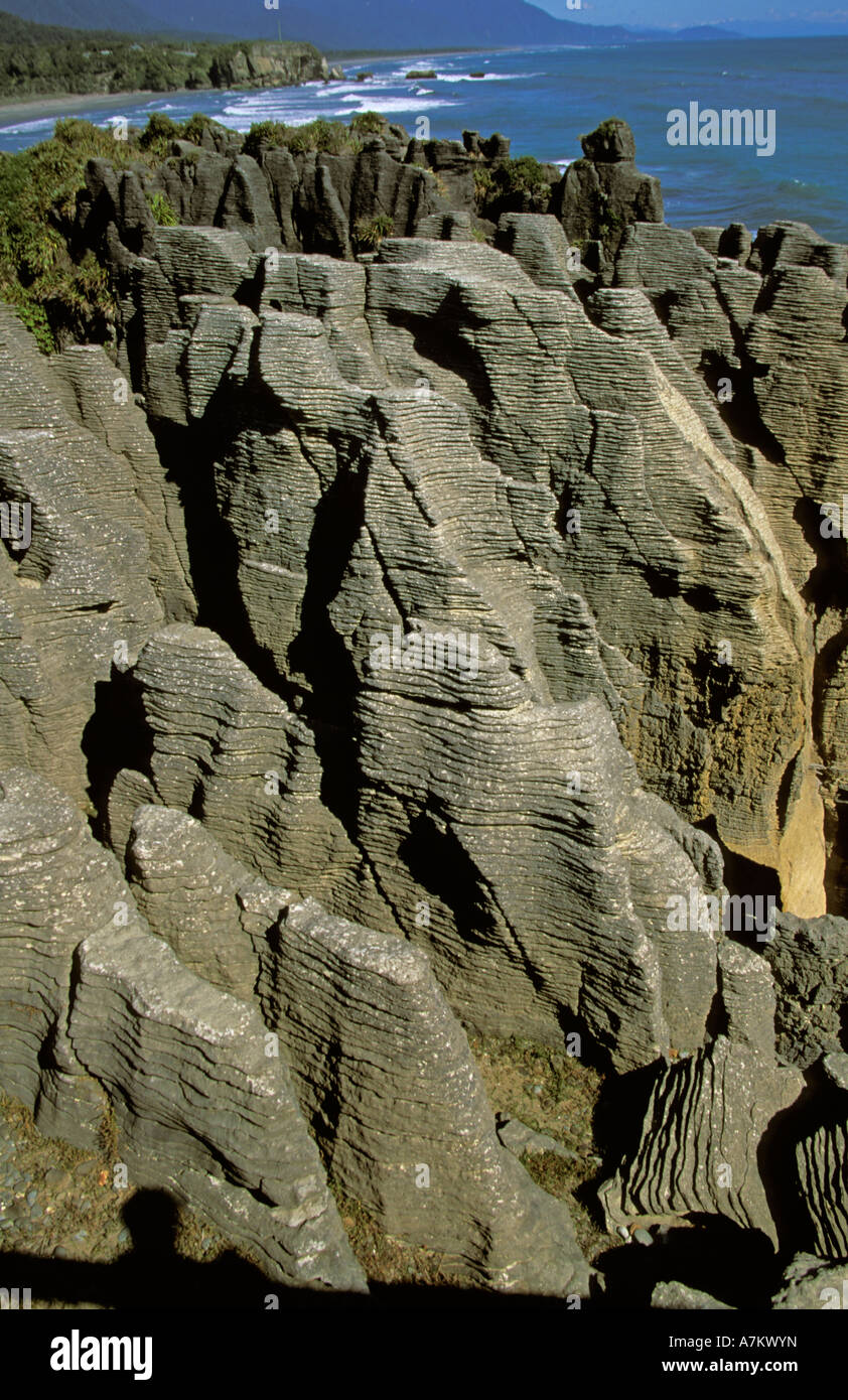 Pancake Rocks New Zealand Punakaiki Layers of Ocean sculpted Limestone ...