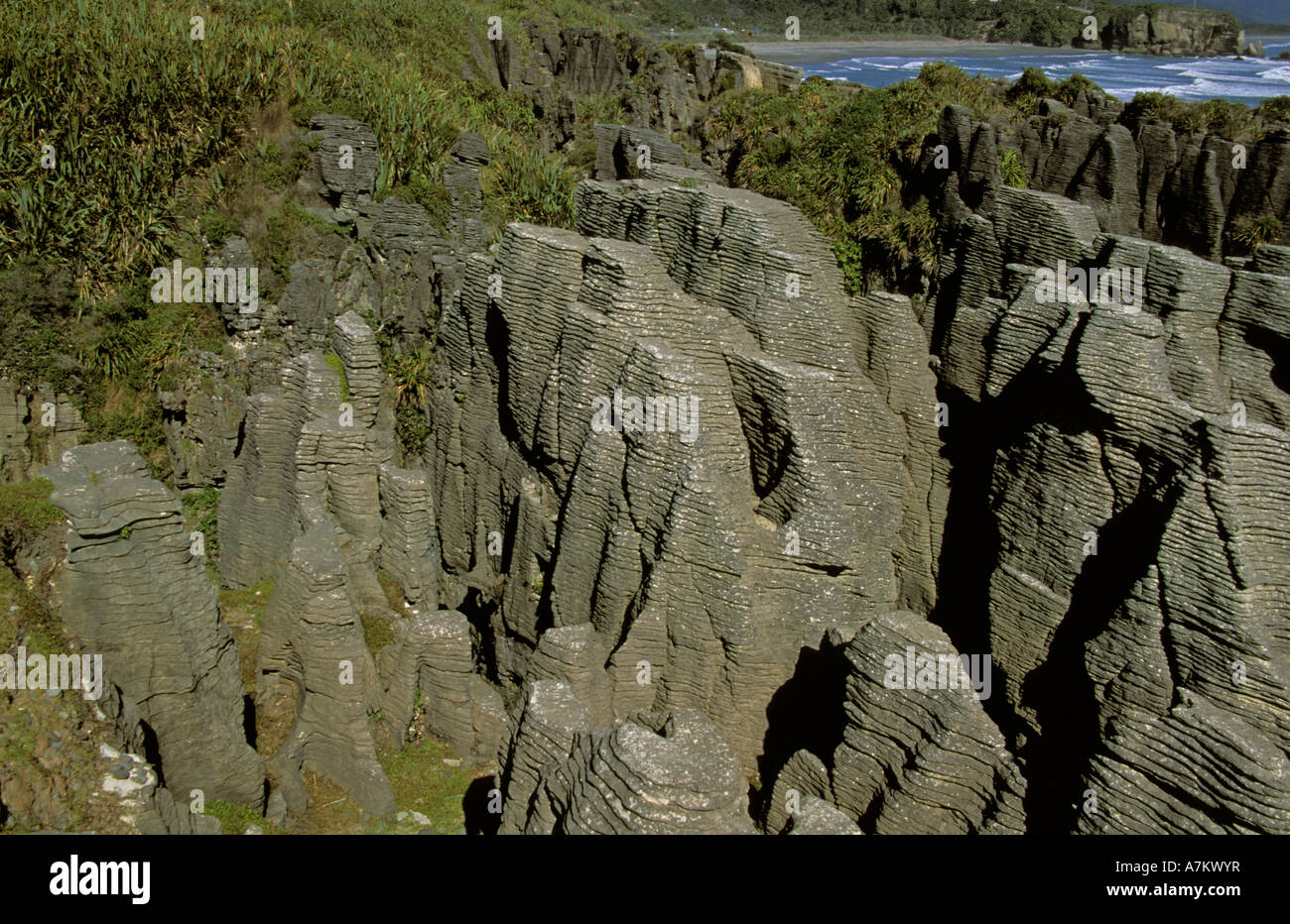 Pancake Rocks New Zealand Punakaiki Layers of Ocean sculpted Limestone ...