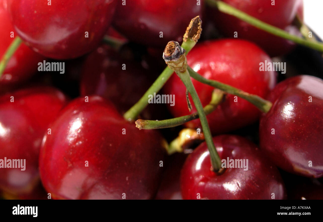 Fresh whole Cherries Stock Photo - Alamy