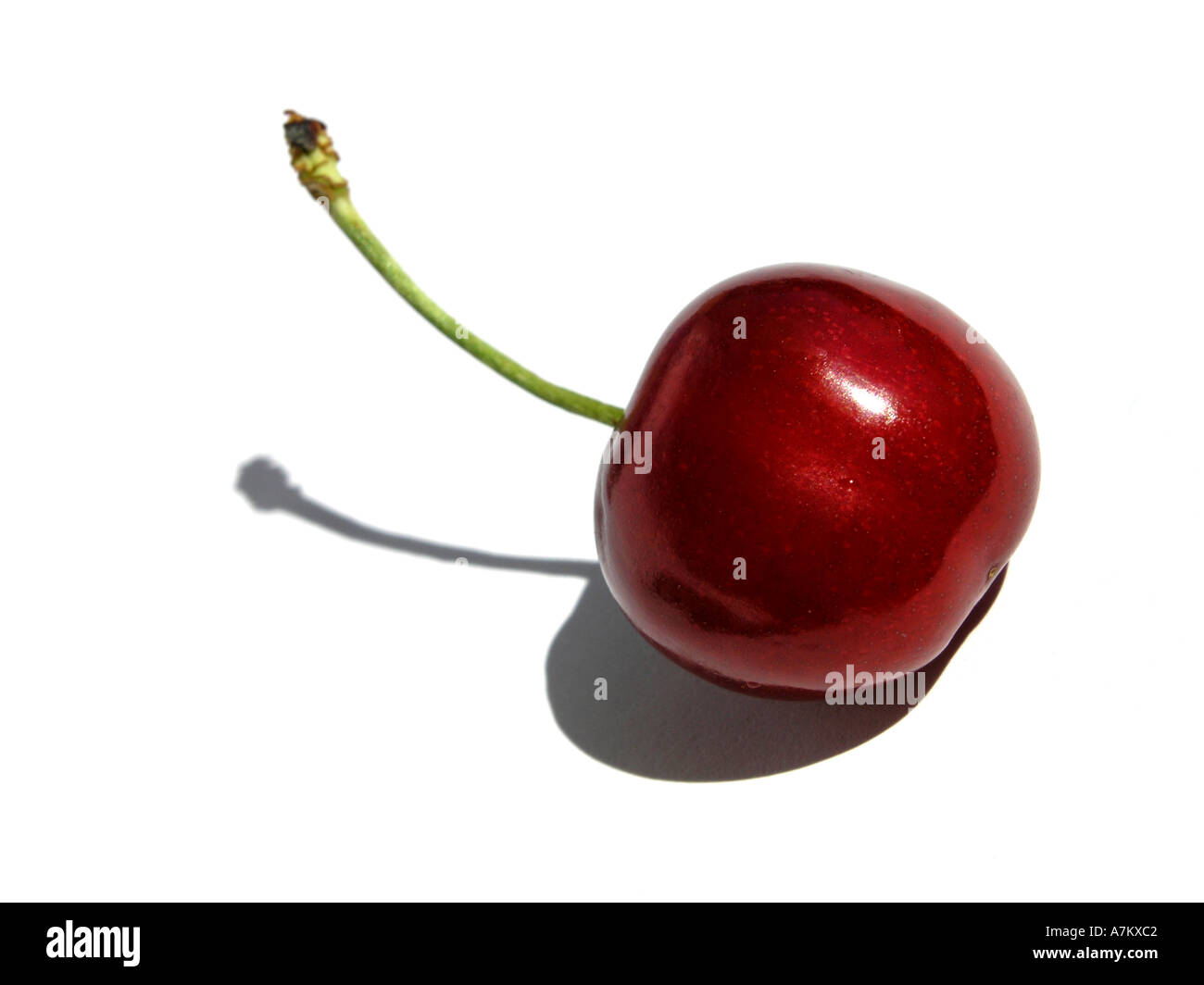 Black stone cherry Cut Out Stock Images & Pictures - Alamy