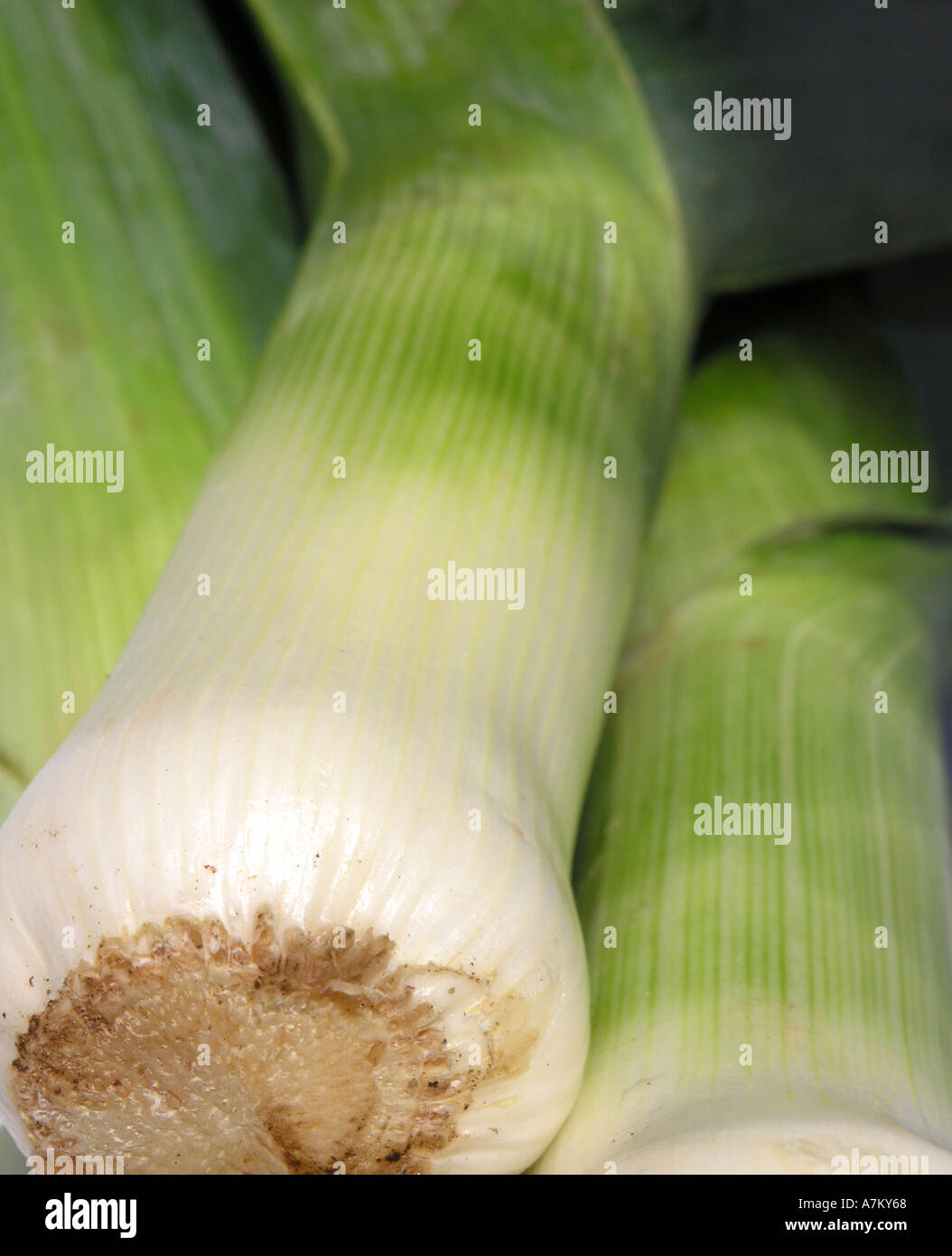 Vegetables onion leeks hi-res stock photography and images - Alamy