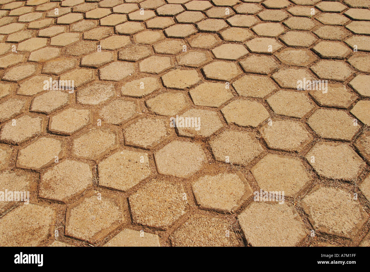Honeycomb appearance hi-res stock photography and images - Alamy