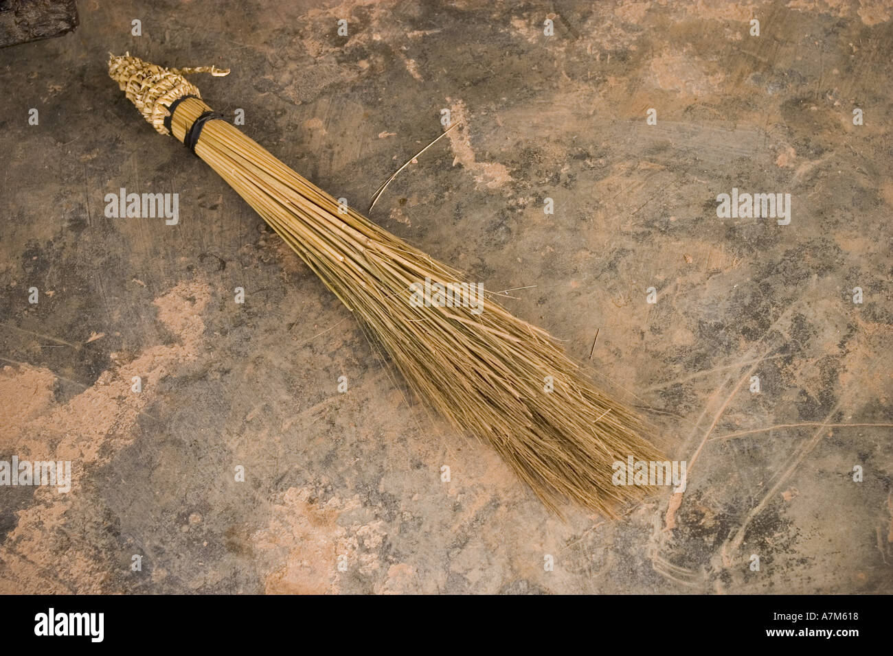 Strands of broom hi-res stock photography and images - Alamy