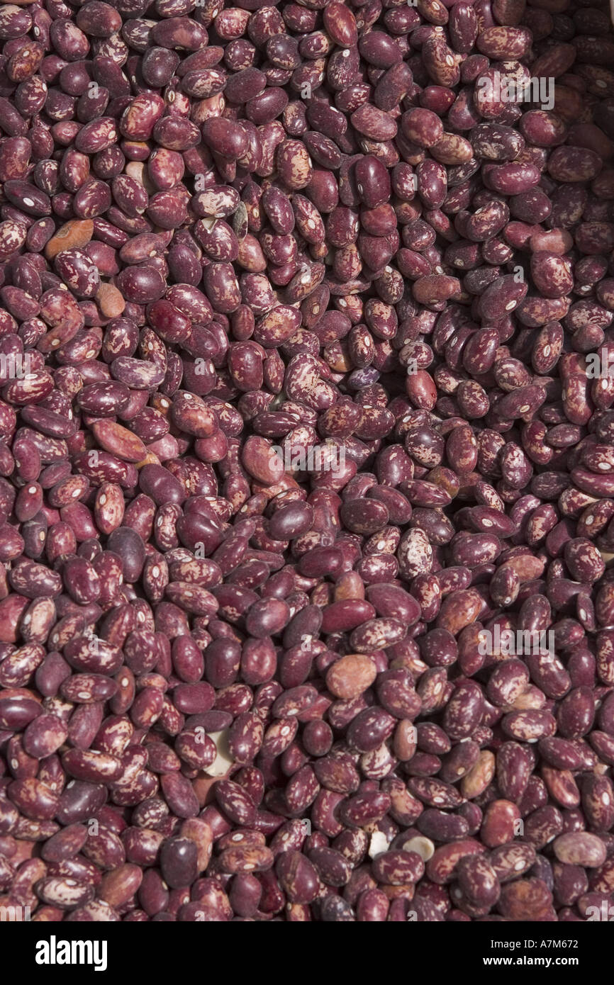 Rip nuts hi-res stock photography and images - Alamy