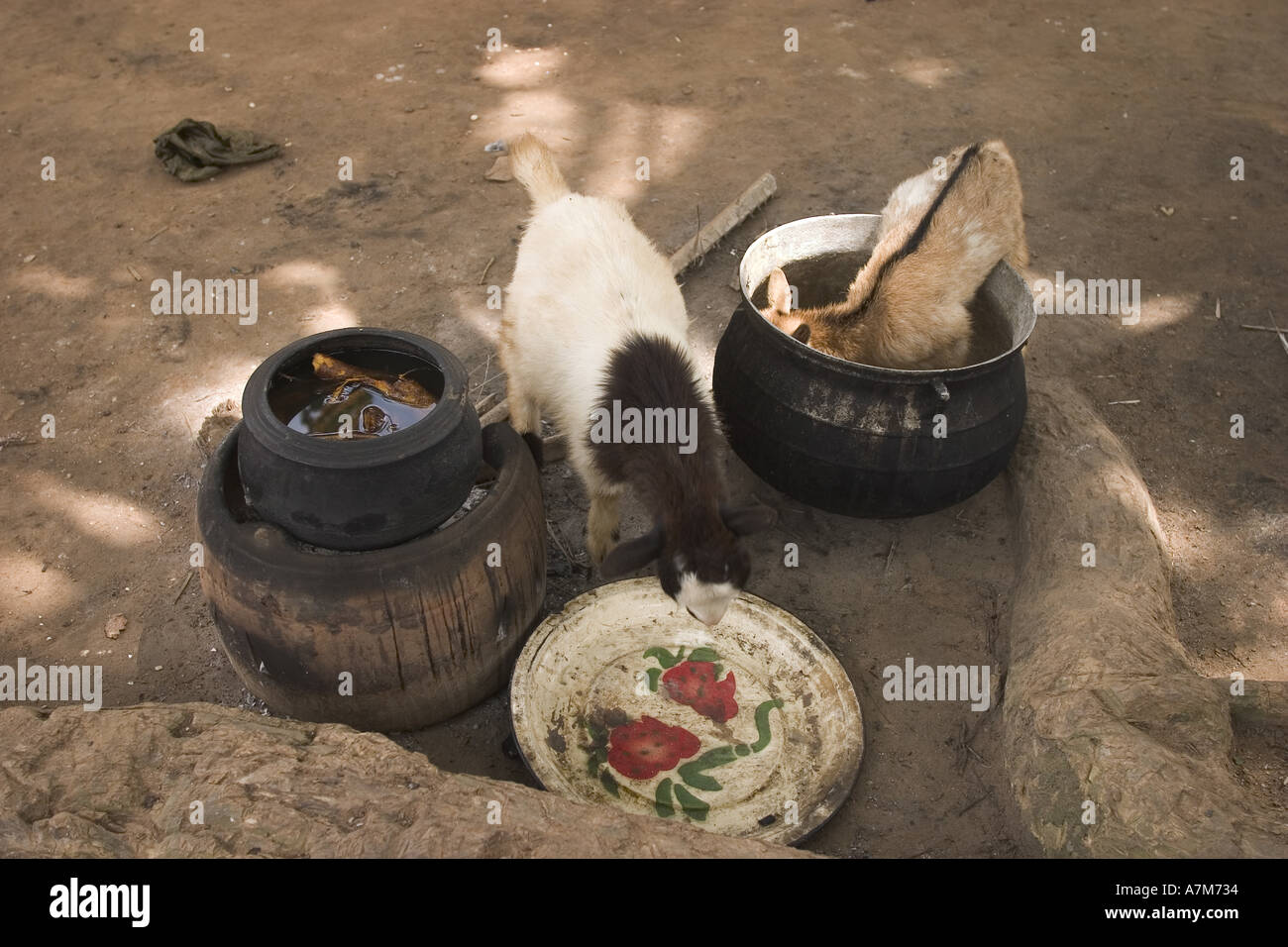 Goats pots hi-res stock photography and images - Alamy
