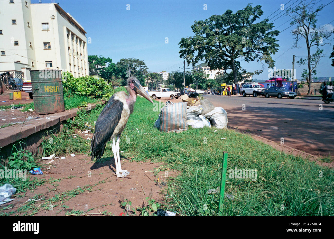 Marabou in kampala uganda hi-res stock photography and images - Alamy