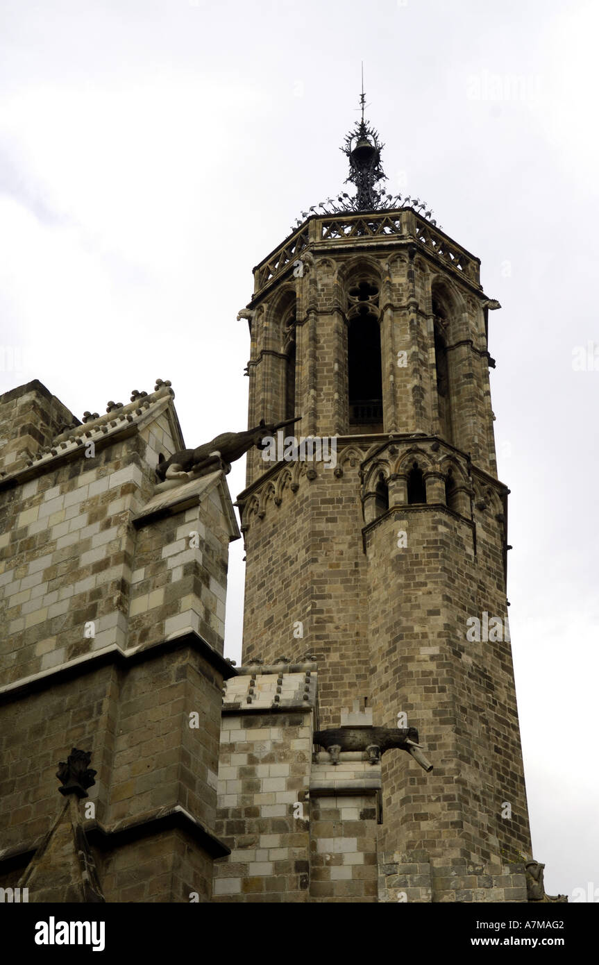 gotic gothic district area centre central old fashioned historic ...