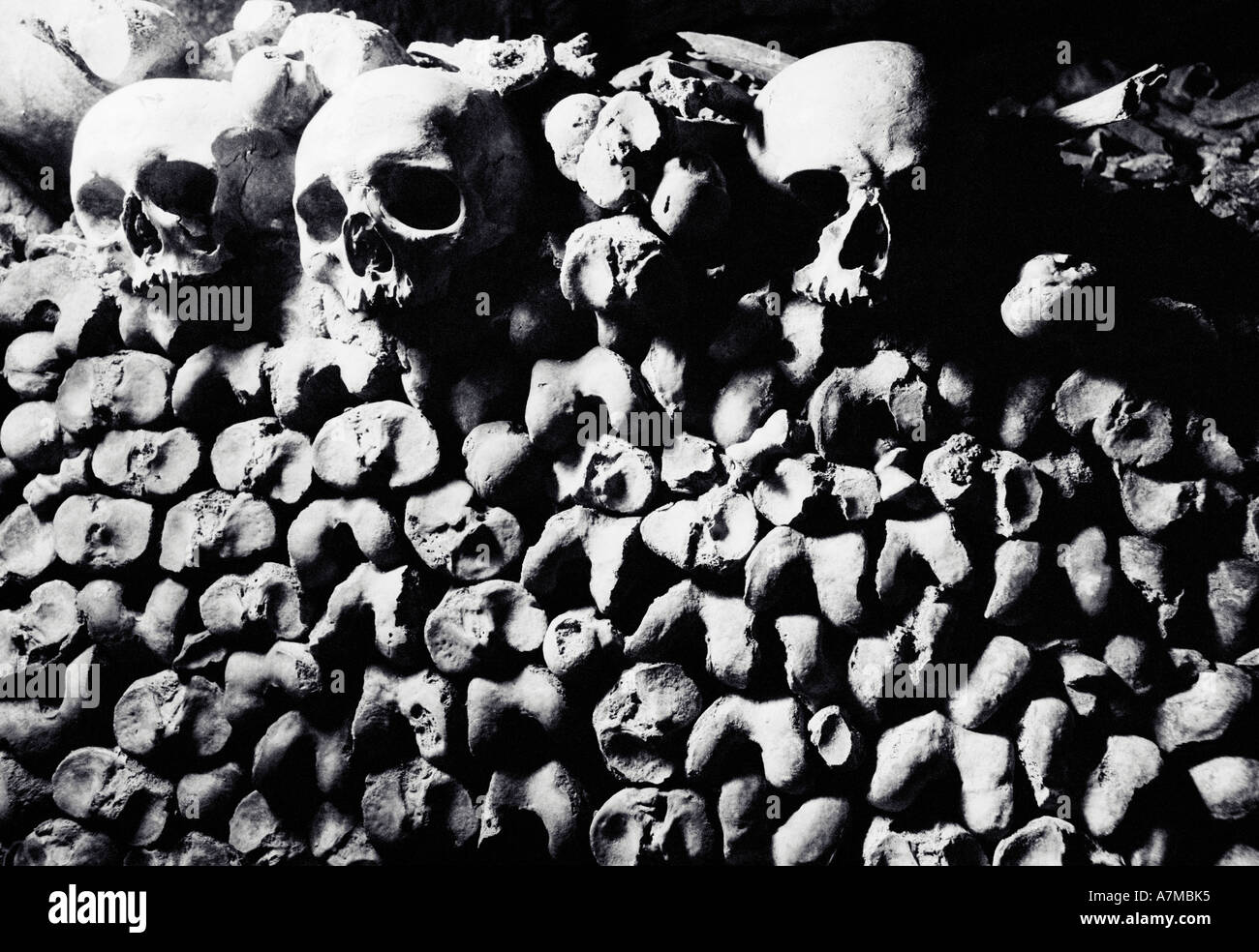 Pile Of Human Bones Holocaust