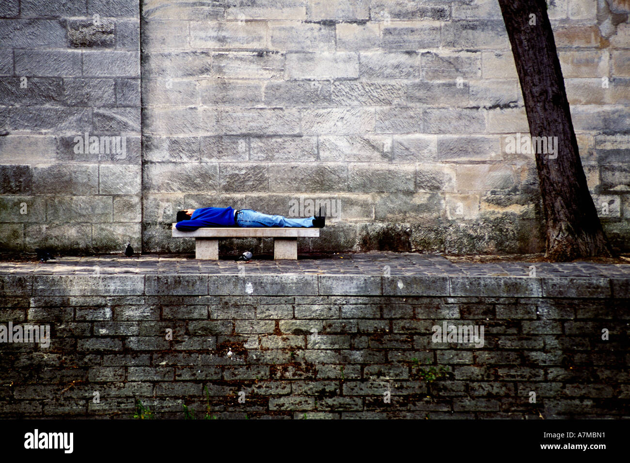 Man lying on a bench by the Seine Paris France Stock Photo - Alamy