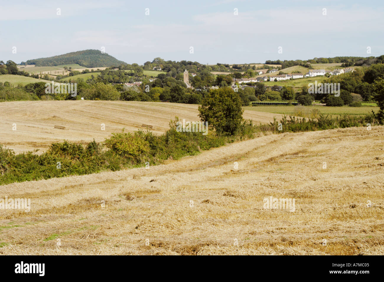 View of the south devonshire countryside looking over harvested wheat ...