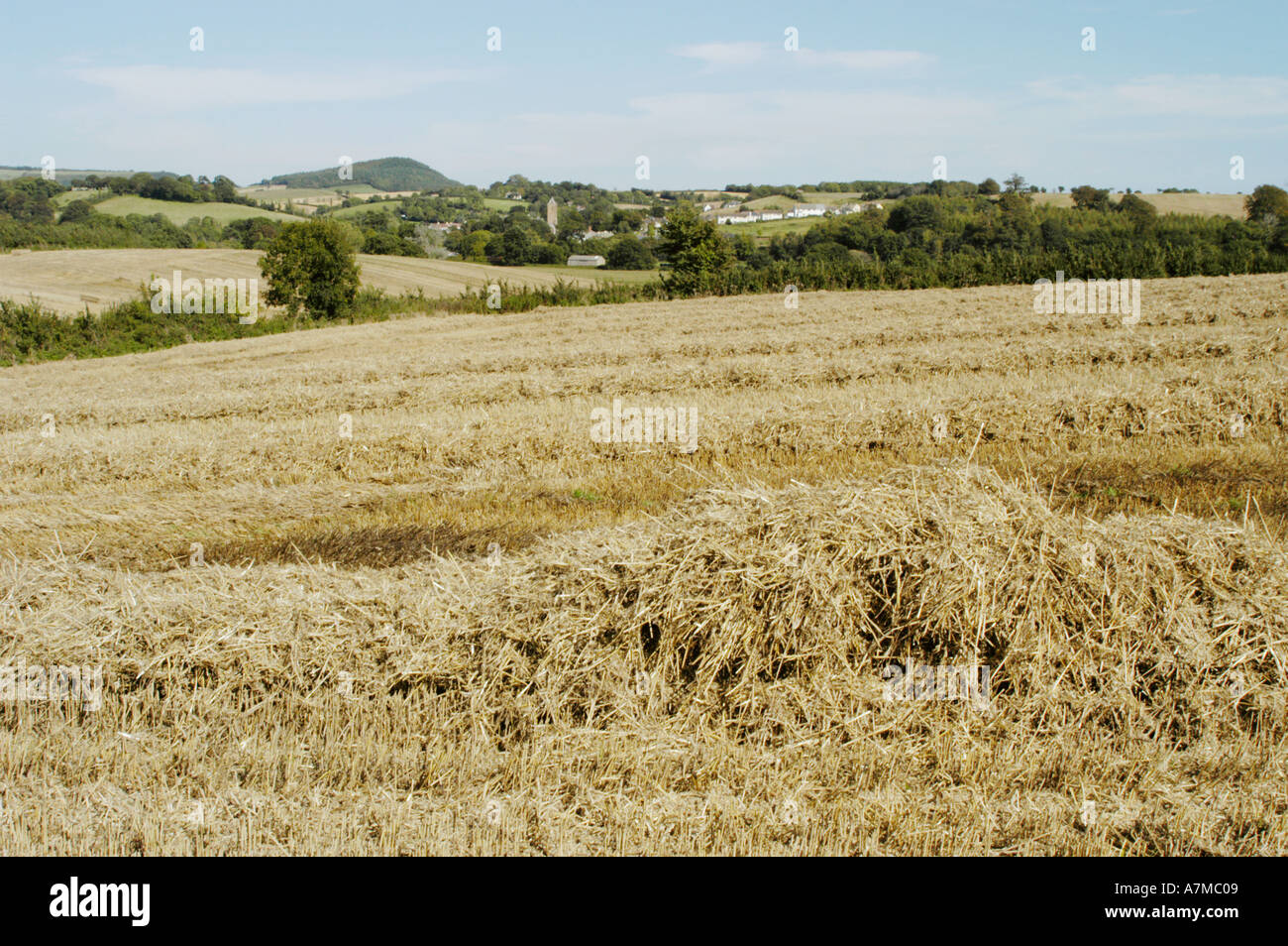 View of the south devonshire countryside looking over harvested wheat ...