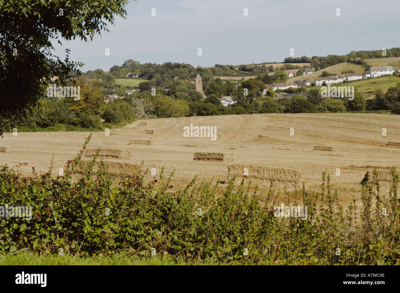 Otterton village hi-res stock photography and images - Alamy