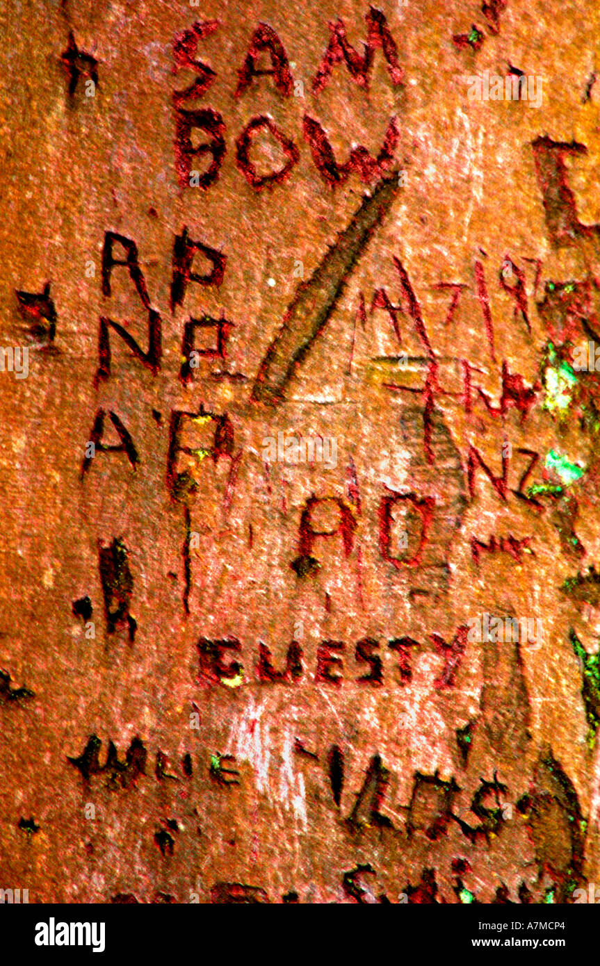 Initials Carved Into A Tree Stock Photo - Alamy