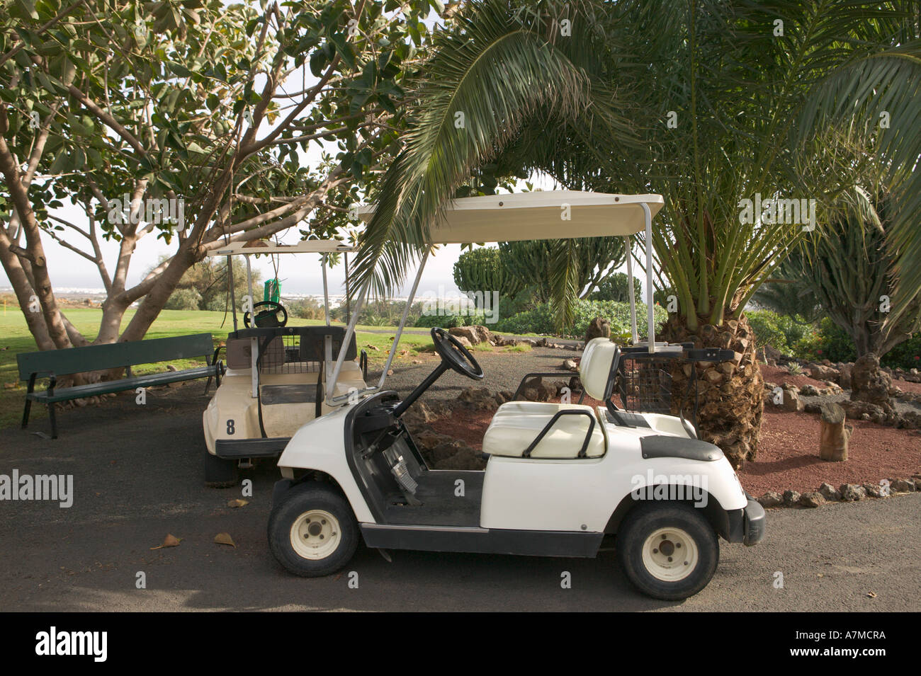 Golf carts palm tree hi-res stock photography and images - Alamy