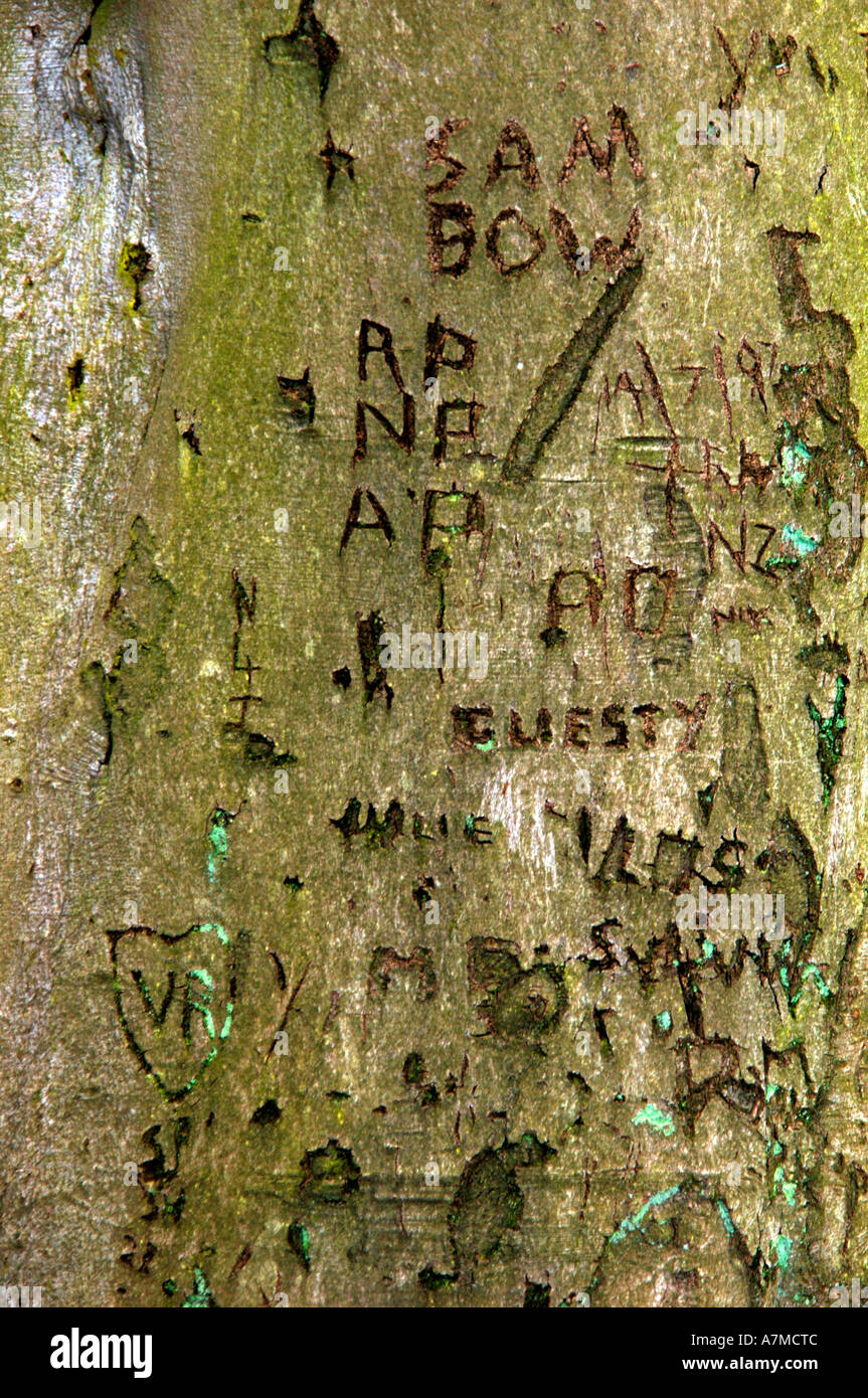Initials carved tree hi-res stock photography and images - Alamy