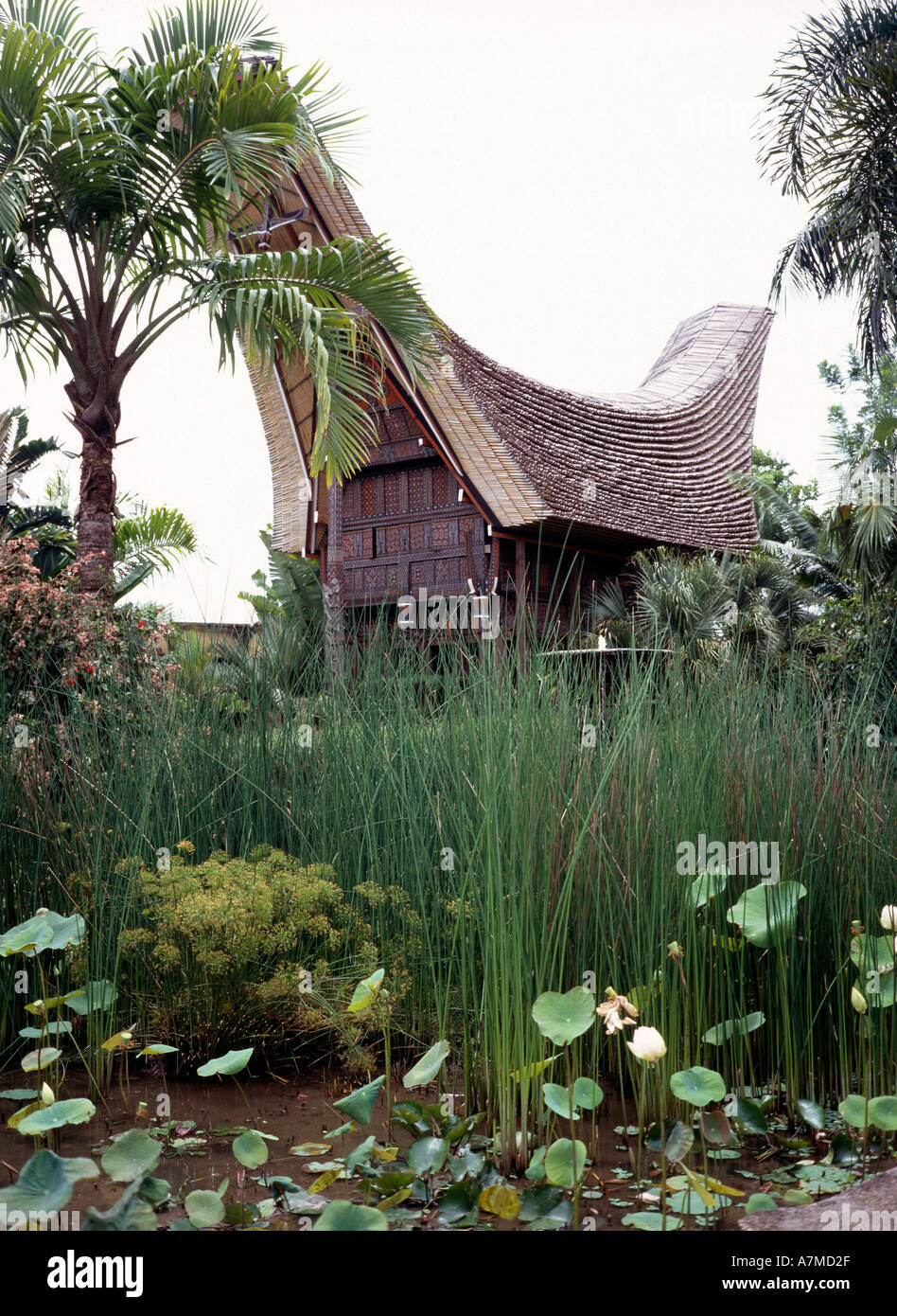 Indonesia Bali Taman Burung Bali Bird Park Toraja style house from ...