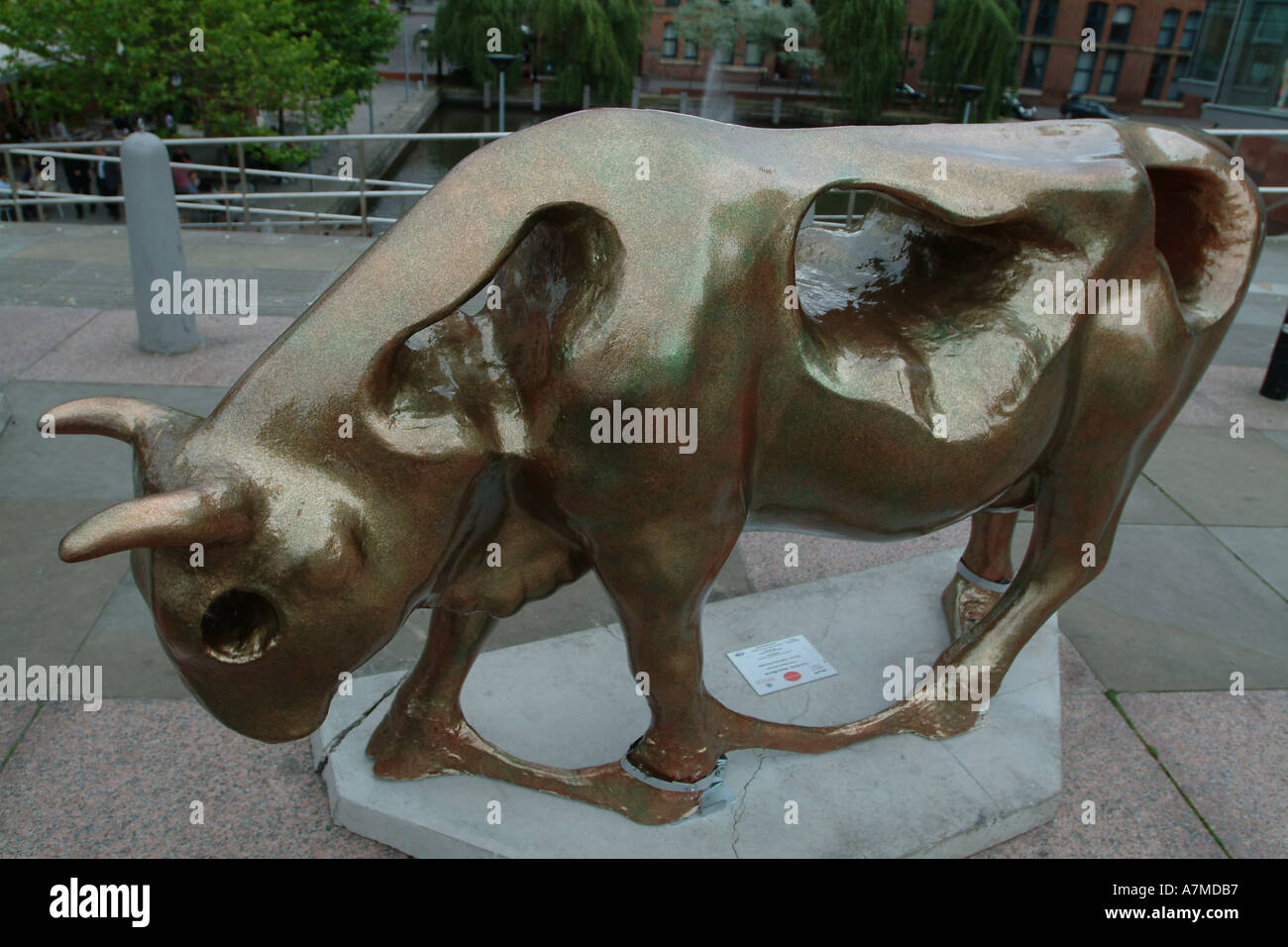 manchester cow parade england uk Stock Photo - Alamy
