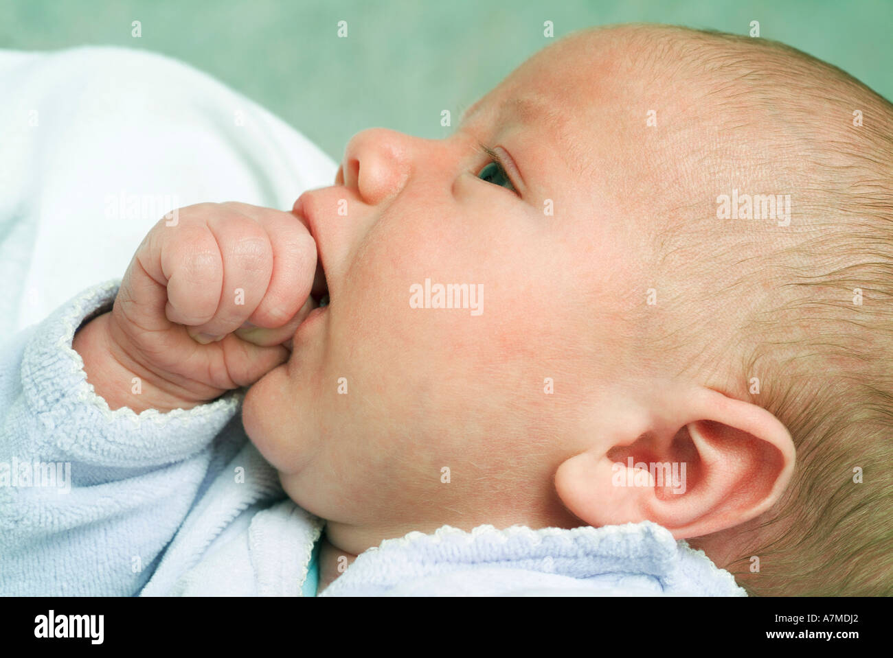 Profile of newborn baby Stock Photo - Alamy