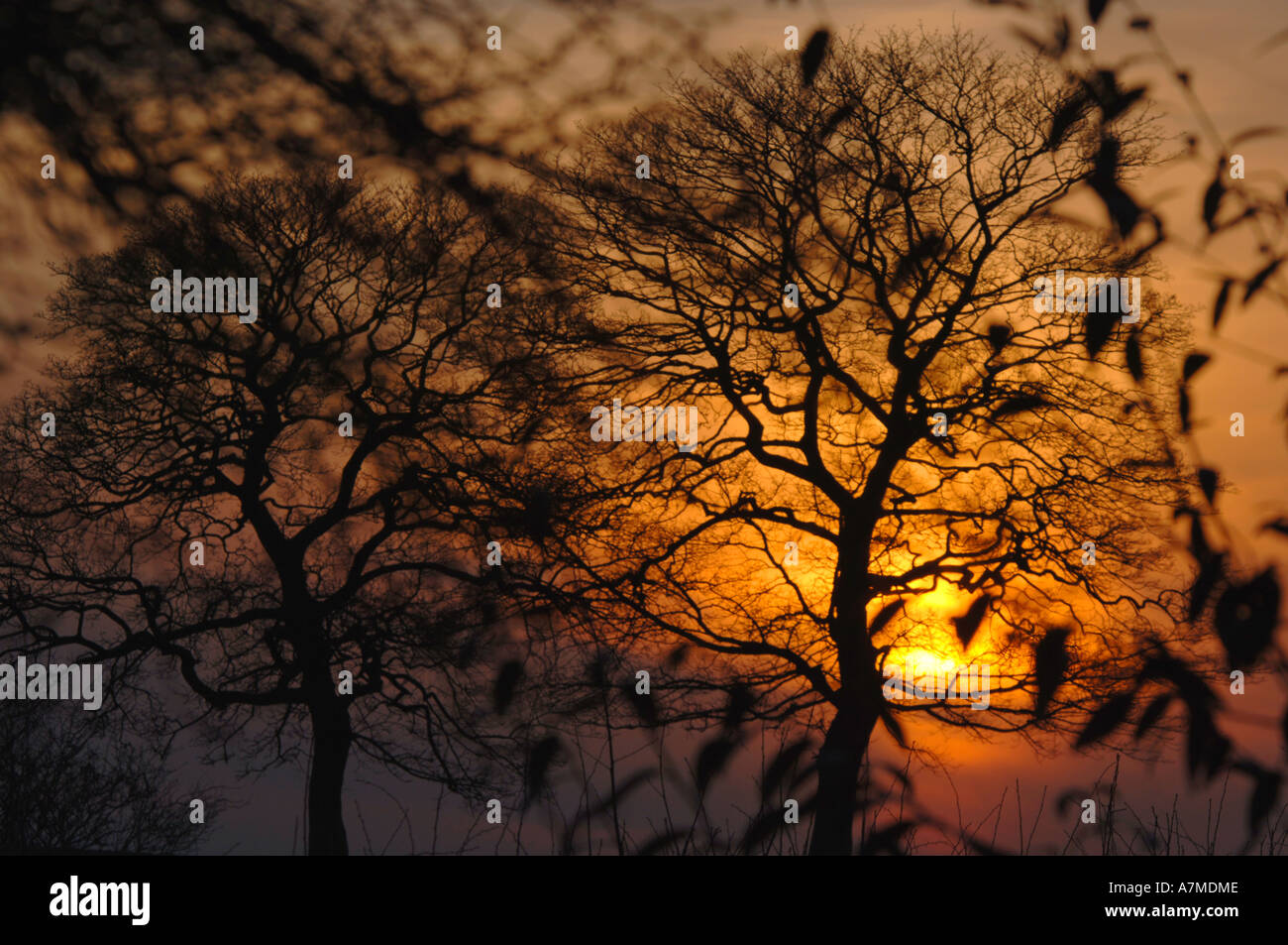 Sunset mild colors hi-res stock photography and images - Alamy