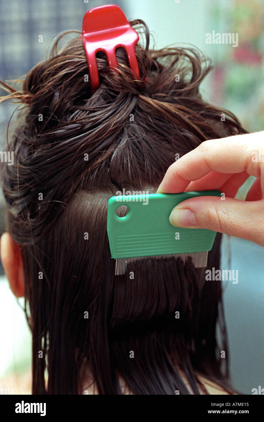 A mother combing her daughters hair with a nit comb Stock Photo - Alamy