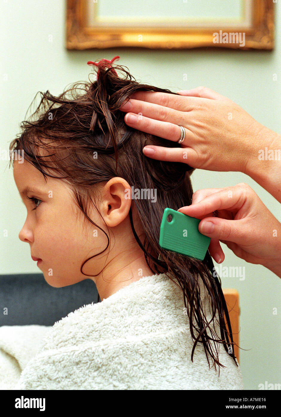 Nit combing hi-res stock photography and images - Alamy