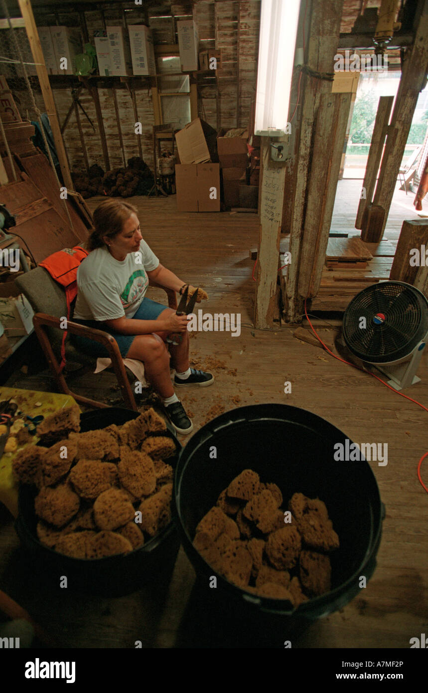 Tarpon Springs Florida USA August 2003 One of Captain George s ...