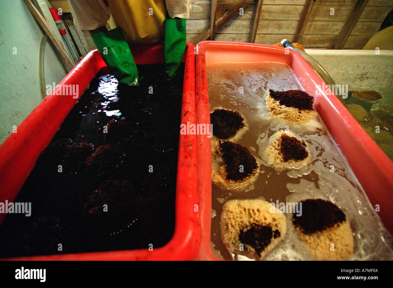 Bleaching solution hi-res stock photography and images - Alamy