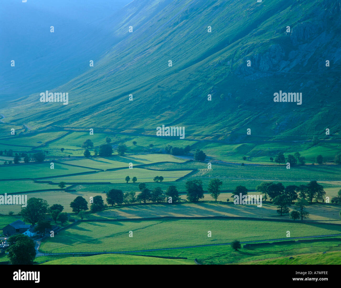Early morning field scene; Wall End, Langdale, Lake District National ...