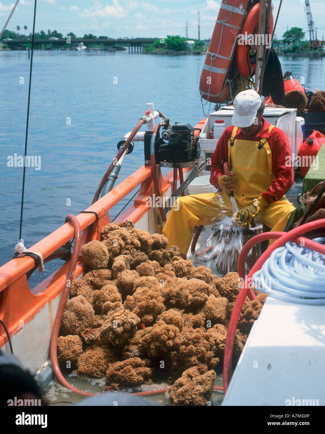 Sponge boat fishing boat hi-res stock photography and images - Alamy