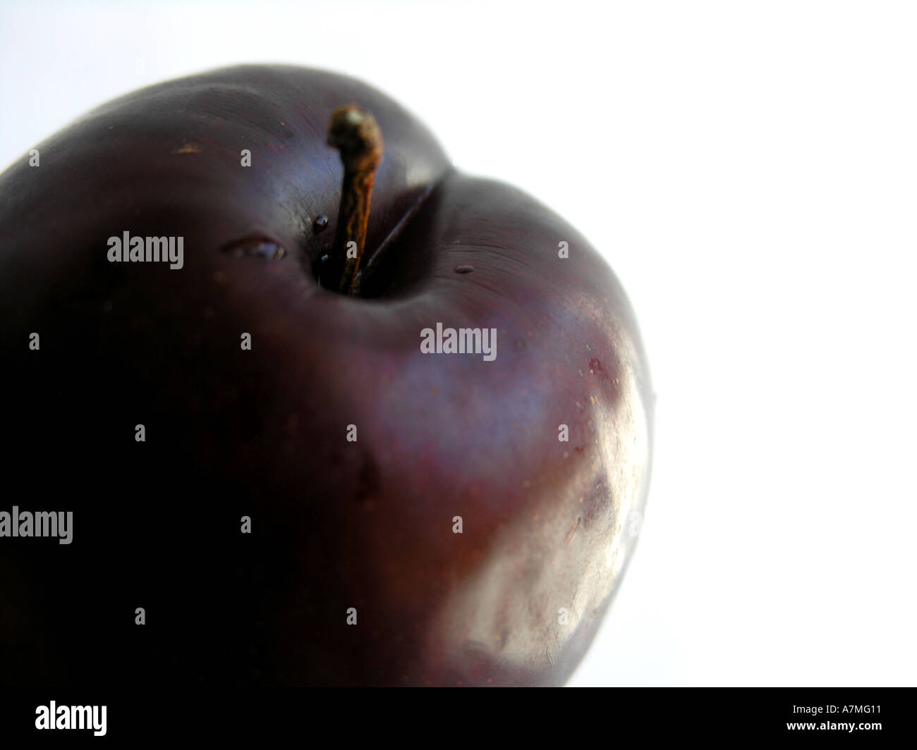 Whole single plum against a white background Stock Photo - Alamy