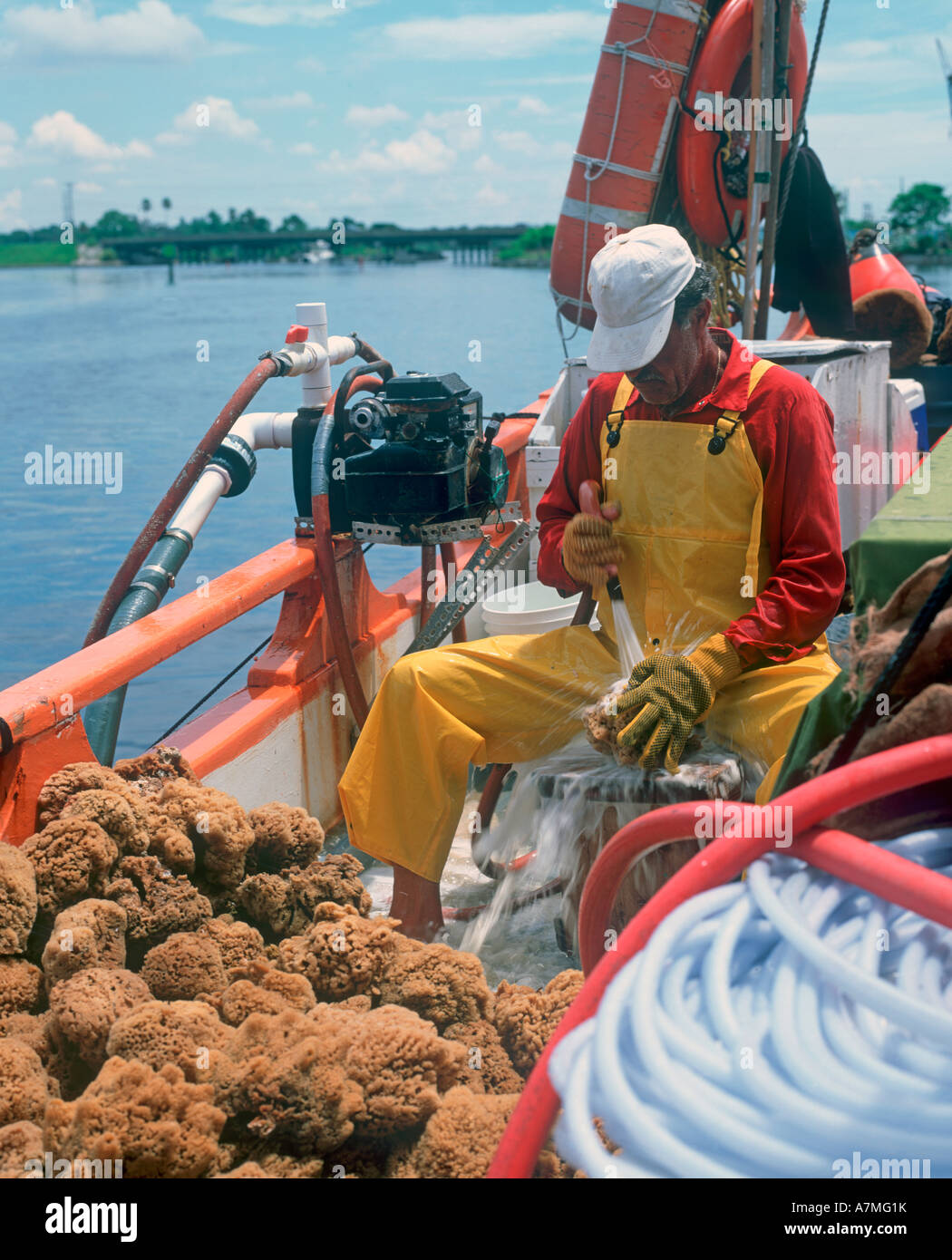 Sponge Diver High Resolution Stock Photography and Images - Alamy