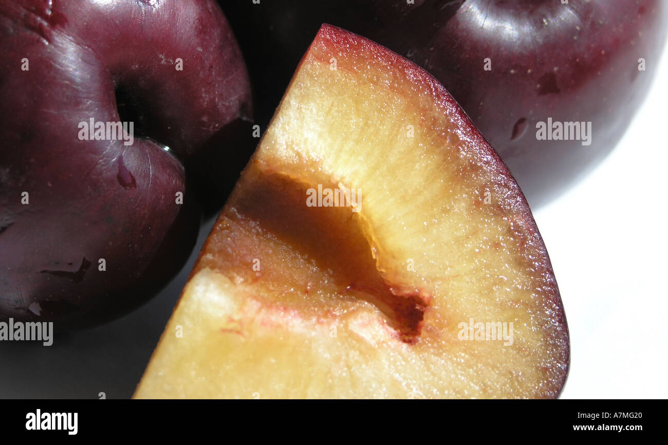 Fresh fruit plums Stock Photo - Alamy