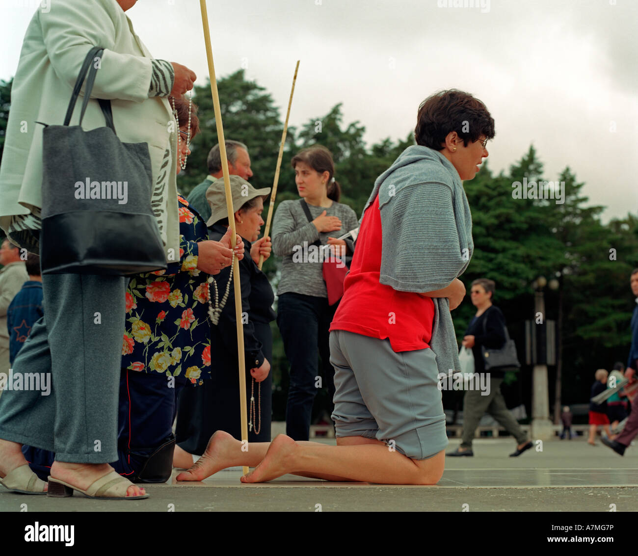 Catholic faithful crawl on hands and knees in pilgrimage to the statue ...