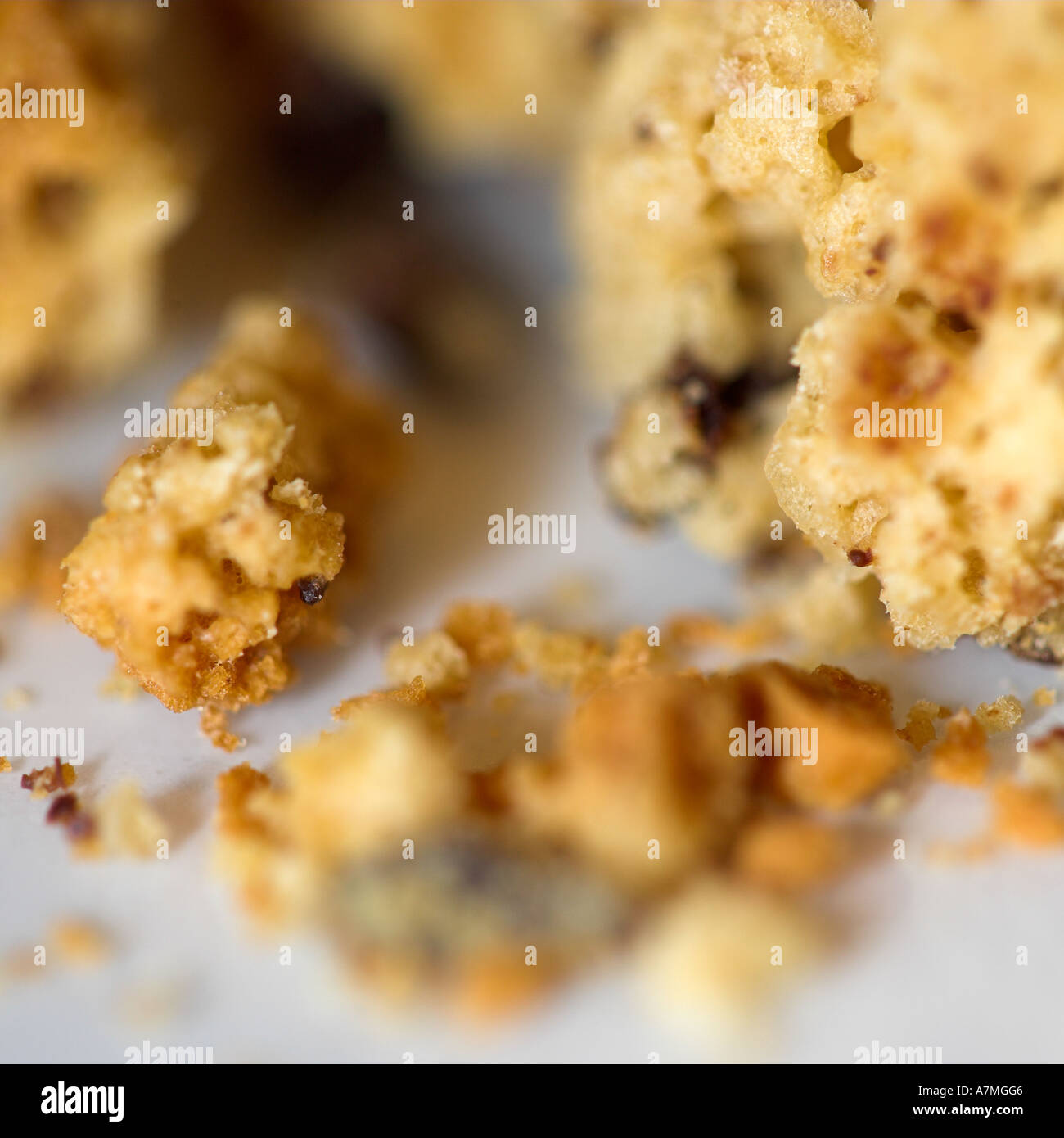 The crumbs hi-res stock photography and images - Alamy
