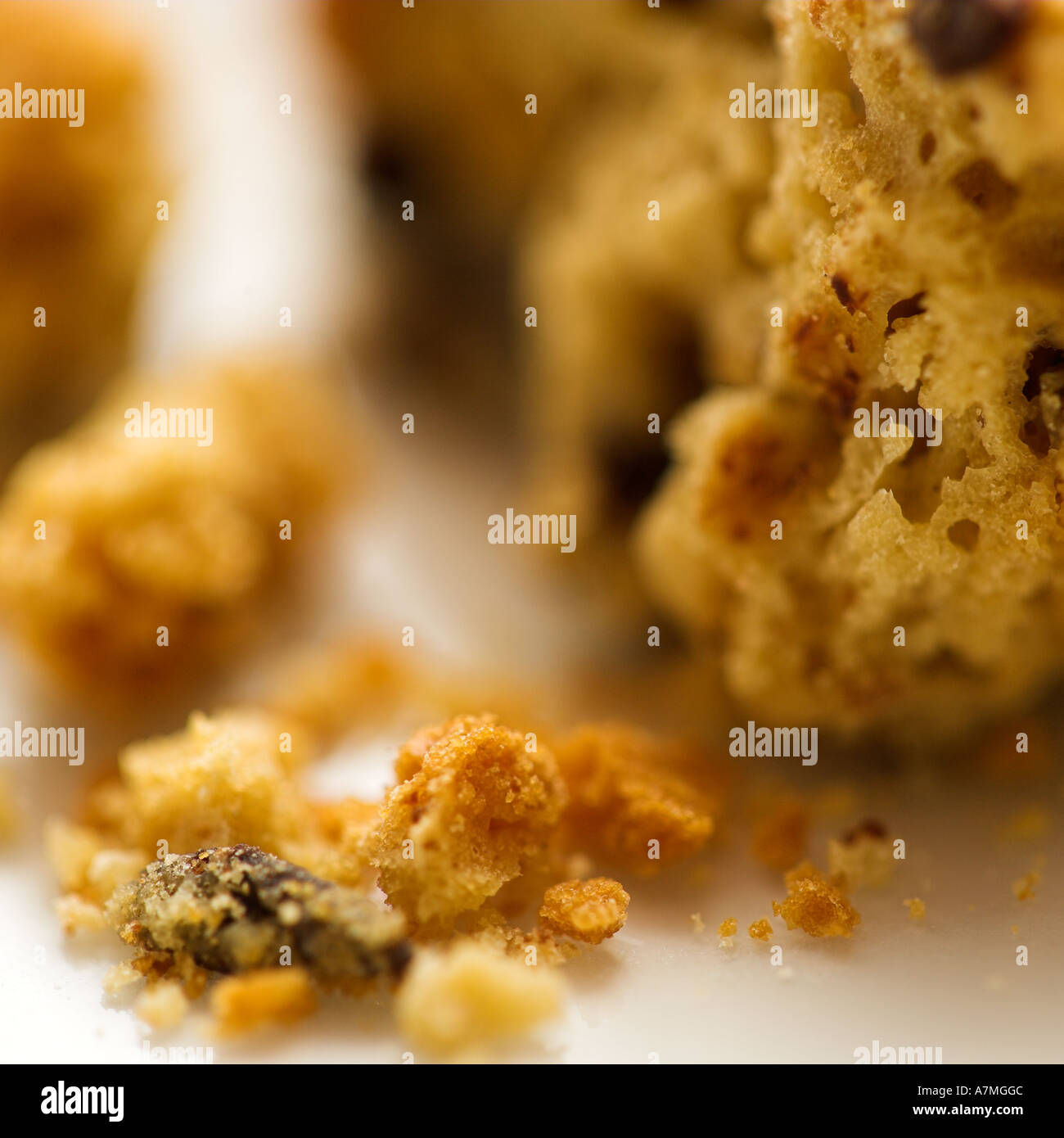 The crumbs hi-res stock photography and images - Alamy