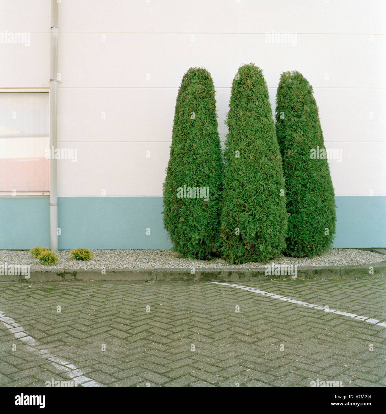 Three pronged hi-res stock photography and images - Alamy