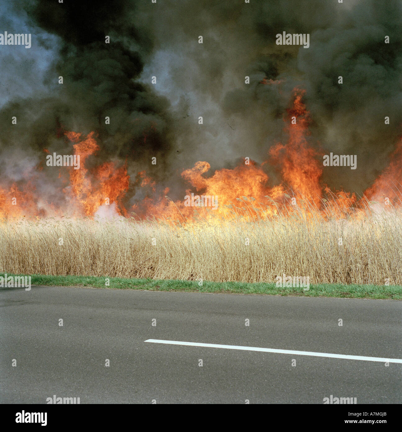 A fire burning on a roadside Stock Photo - Alamy