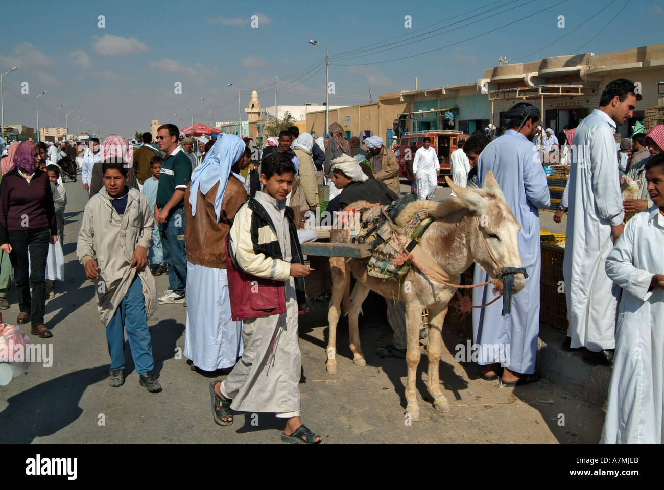 Market day in Negila, small town in the desert, Egypt Stock Photo - Alamy