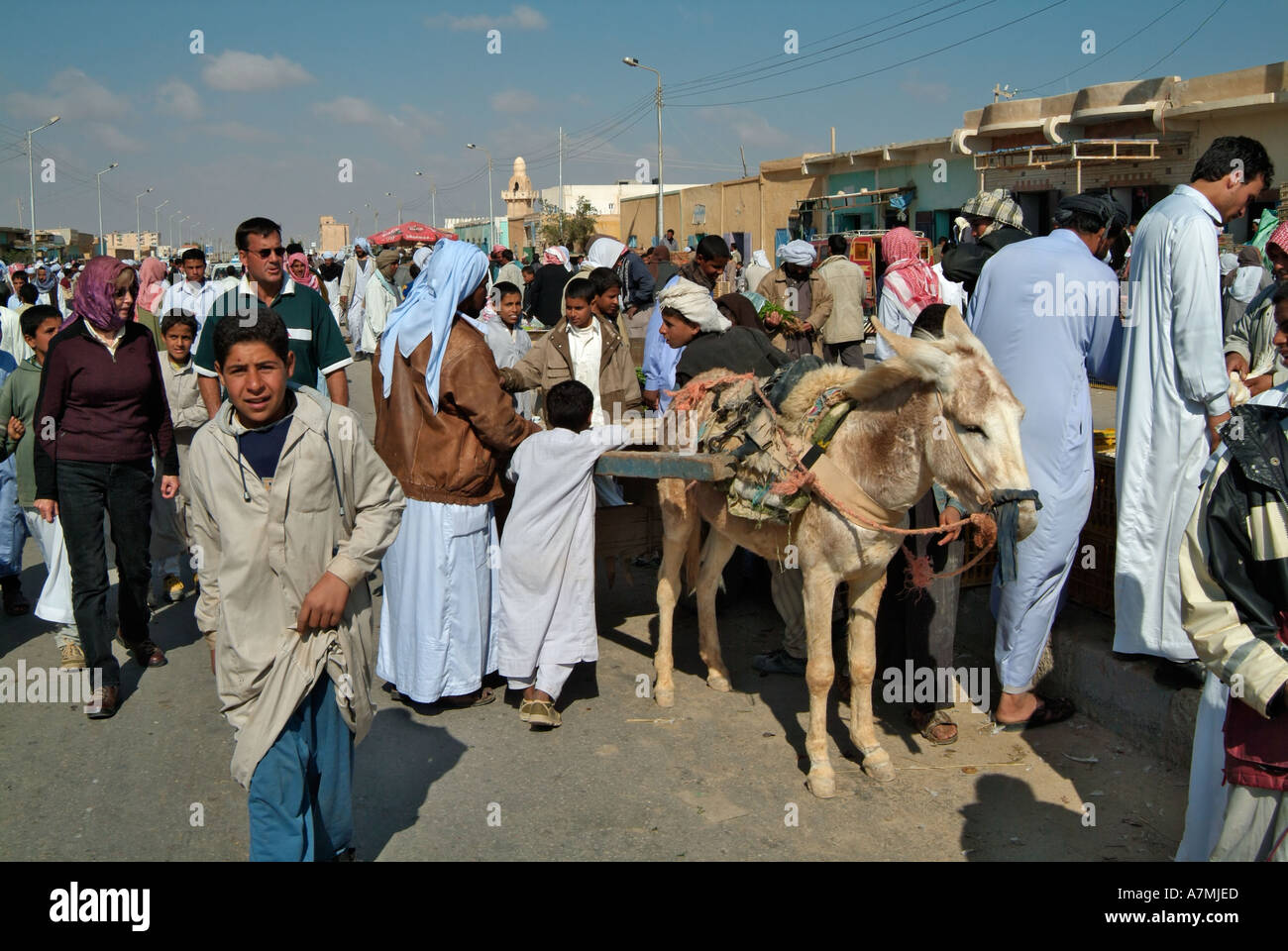 Market day in Negila, small town in the desert, Egypt Stock Photo - Alamy
