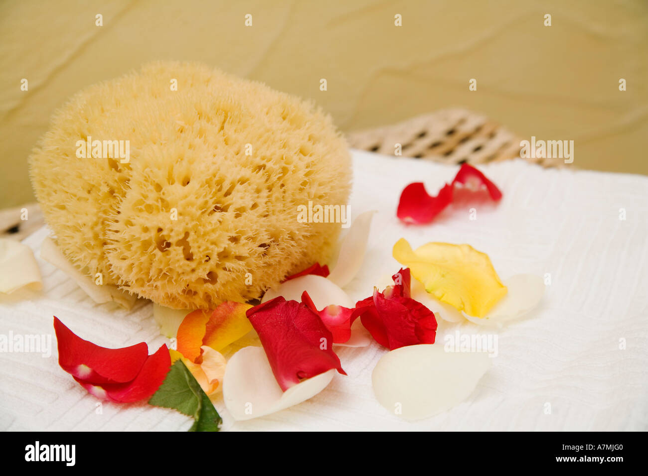 Bath sponge next to rose petals Stock Photo - Alamy